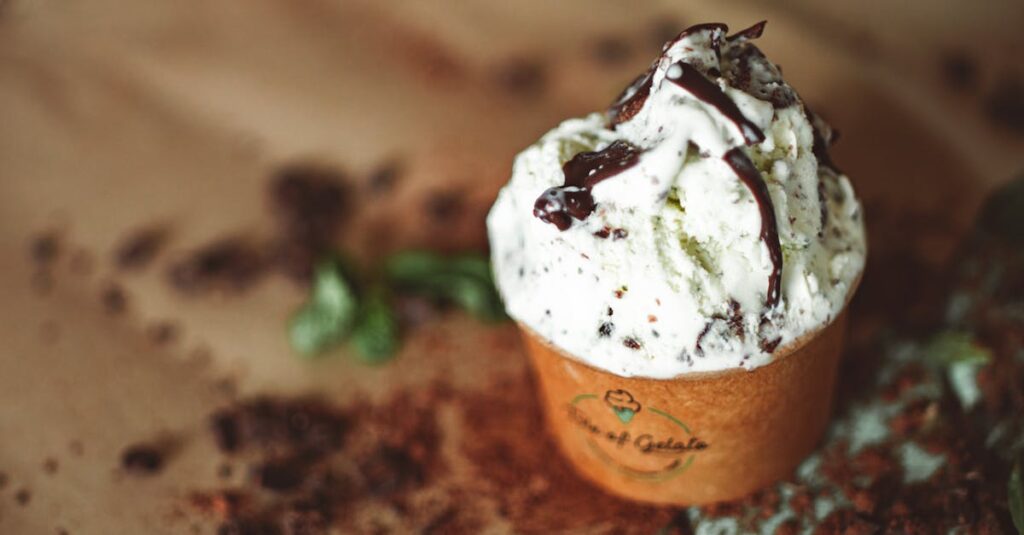 Mint Chocolate Chip Creami Recipe: Easy & Delicious Guide