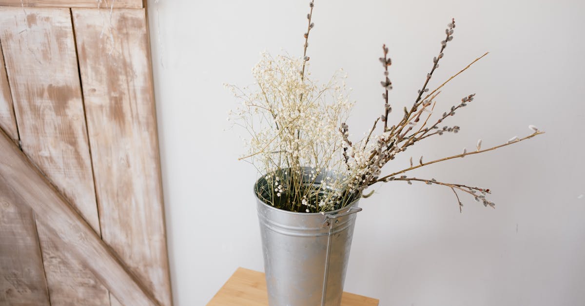 Wet Pussy Shot Recipe: Classic Cocktail, Variations, And Tips