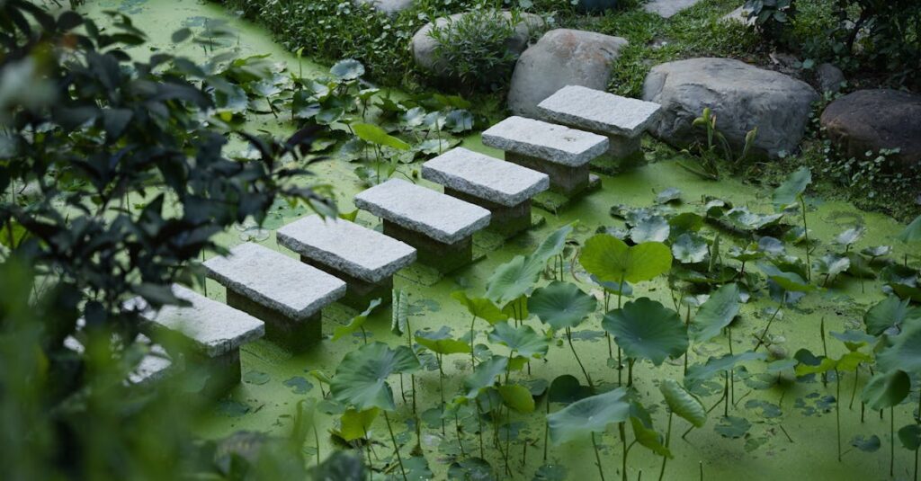 Duckweed Recipes
